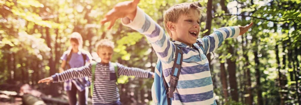 Our Favourite Bushwalks in and Around Springwood - Springwood Sports Club